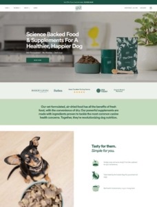 eCommerce Website Design: Gallery & Tech Inspiration with 2000+ Shops