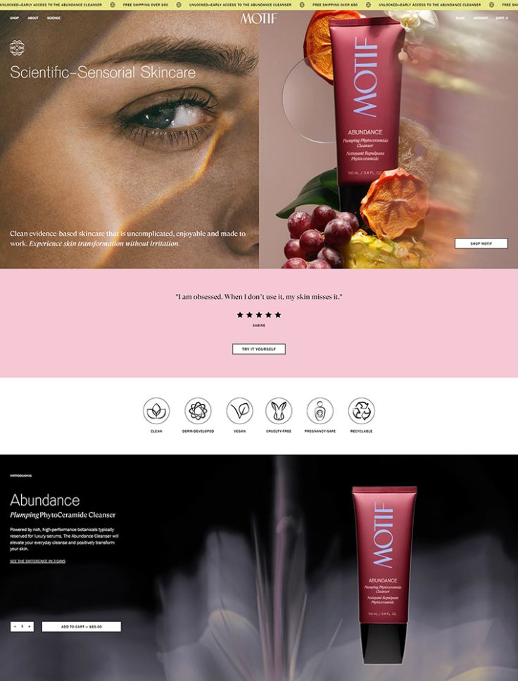 eCommerce Website Design: Gallery & Tech Inspiration with 2000+ Shops