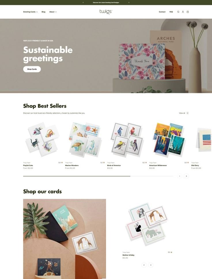 eCommerce Website Design: Gallery & Tech Inspiration with 3000 ...