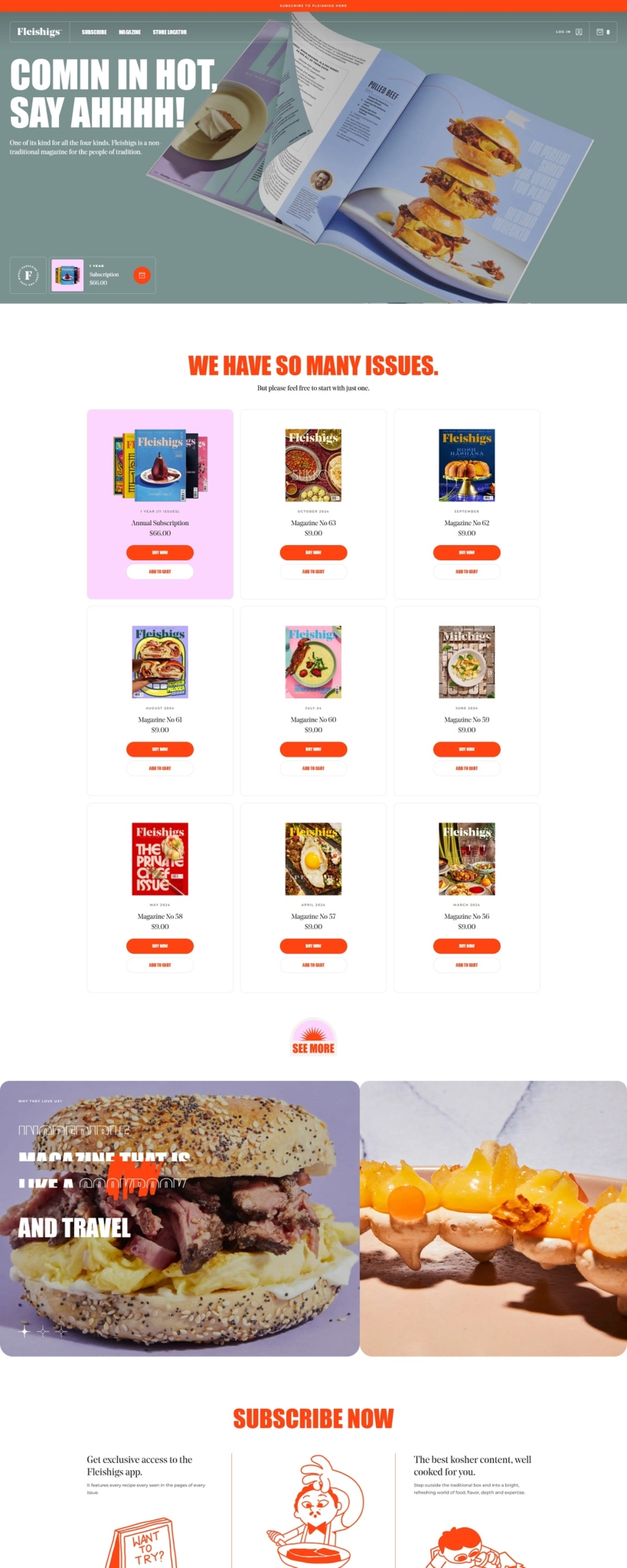 Fleishigs | eCommerce Website Design Gallery & Tech Inspiration