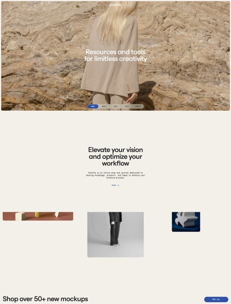 eCommerce Website Design: Gallery & Tech Inspiration with 3000 ...